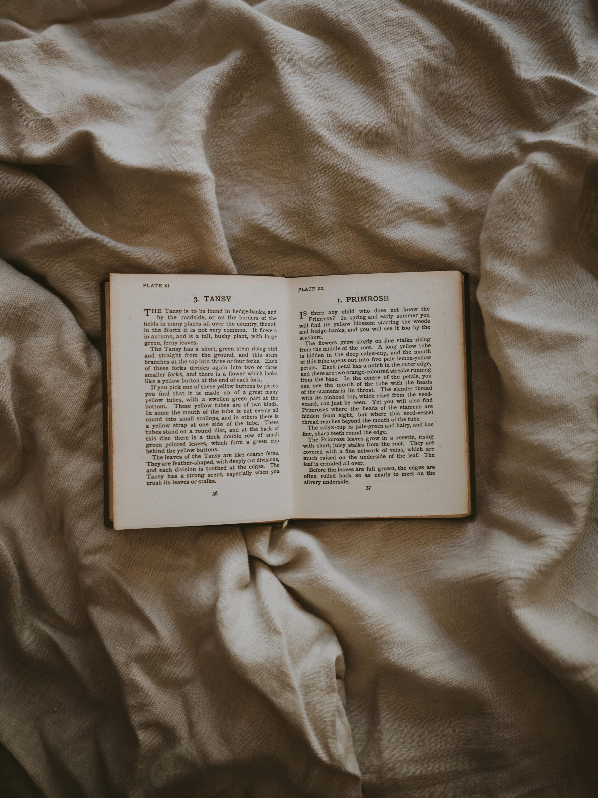 One-to-one online Chinese tutoring